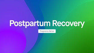 Pregnancy and Postpartum Resource Guide Workouts, Education and ...