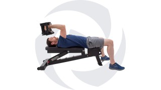 Upper Body Two Day Split - Push Increase Strength in the Chest ...