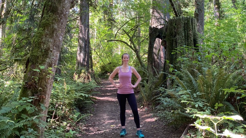 Walking Workout in the Forest Gentle Cardio Workout Among the Trees ...