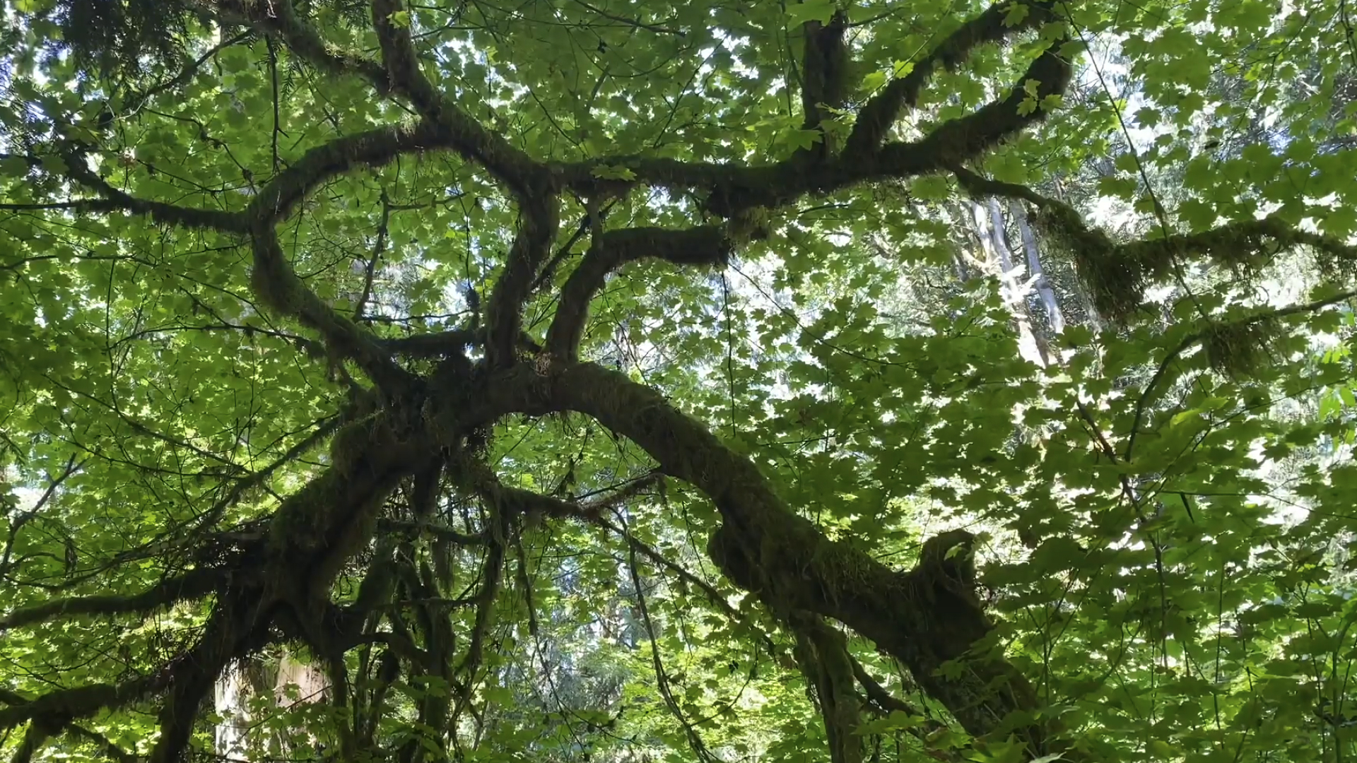 Body Self-Compassion Increase Awareness and Kindness Towards Your Body ...